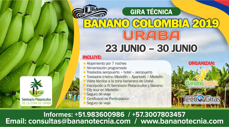 Gira Técnica de Banano a Urabá – Colombia 2019 – Bananotecnia