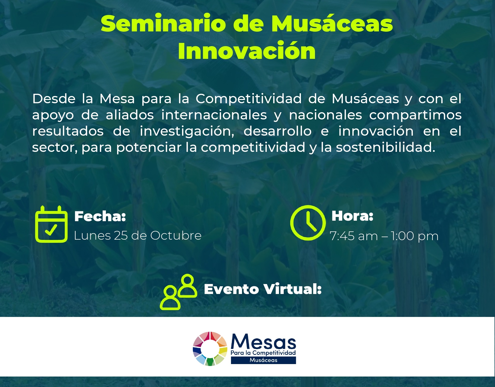 Seminario Musaceas: Innovación – Bananotecnia