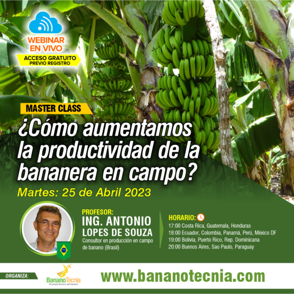 Webinar en vivo: Secretos para la productividad y longevidad de la ...