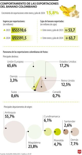 Exportaciones de banano colombiano aumentan 15.8% en el primer semestre ...